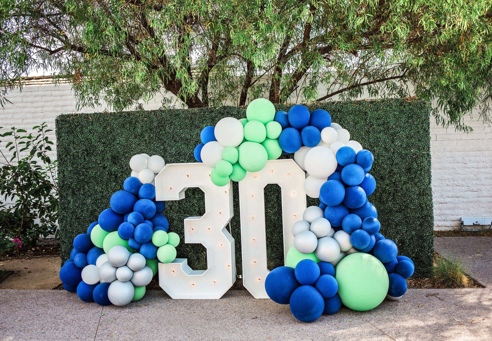 Seahawks 30th Birthday Party | partiesonpurpose.com