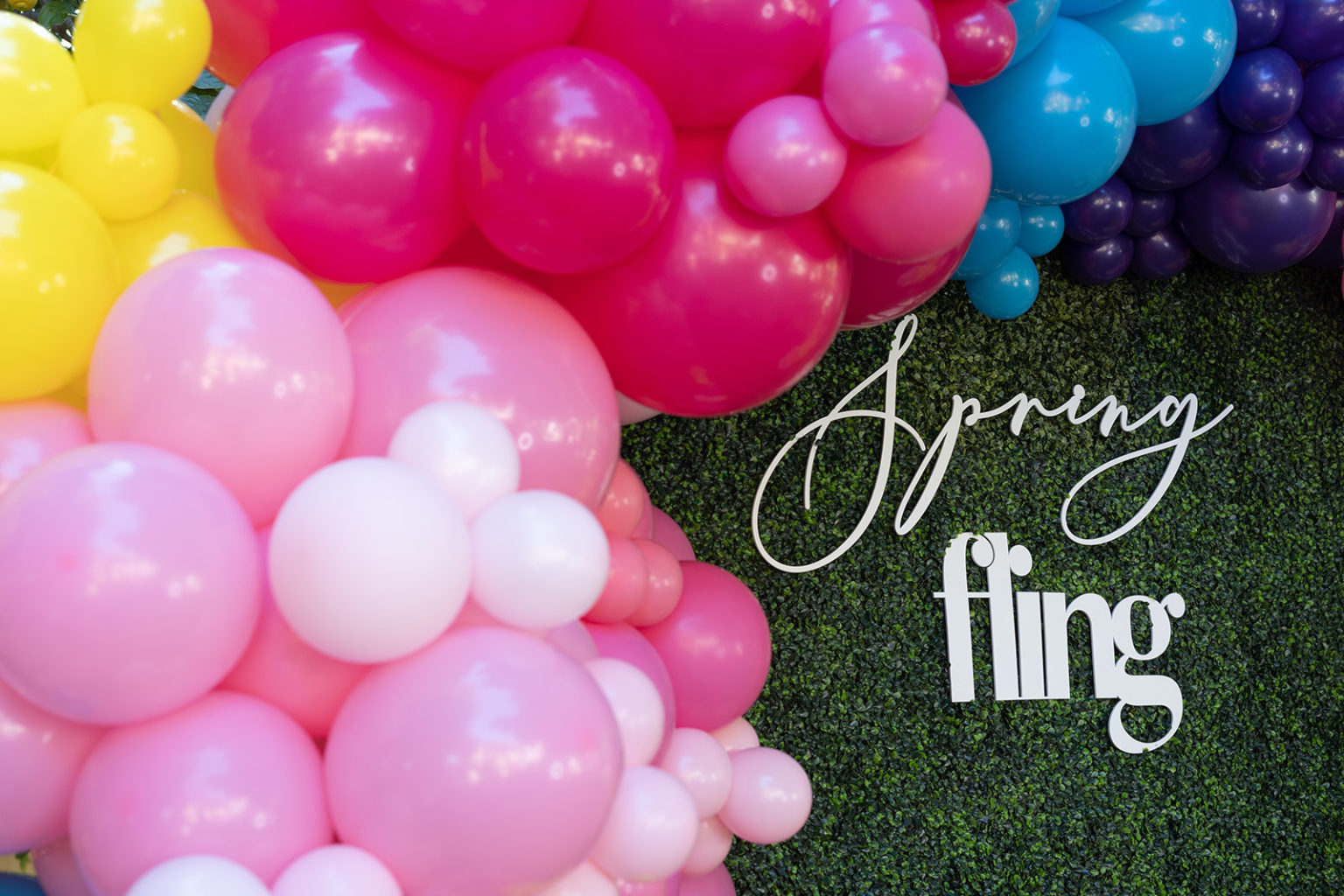 Spring Fling Party | partiesonpurpose.com
